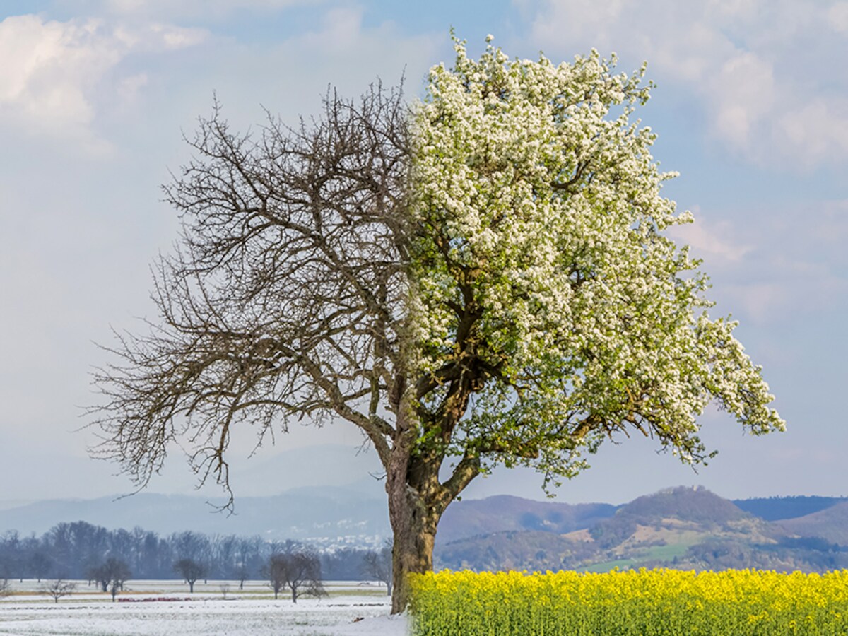 Generation C: How Covid-19 will create a new, risk-averse generation