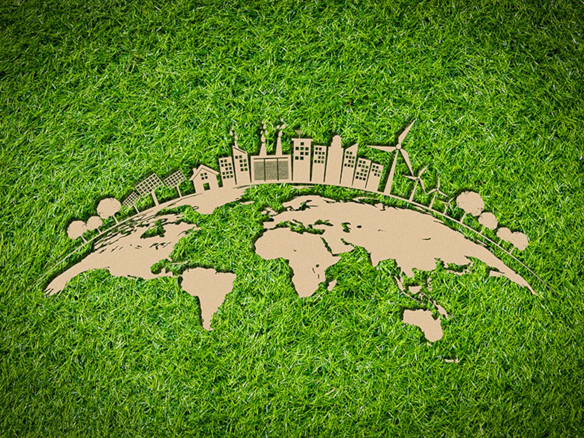 Meet the unsung hero of the net-zero movement