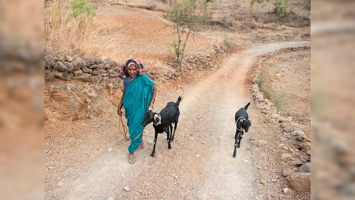 4 reasons why diversifying livelihood sources can boost rural income