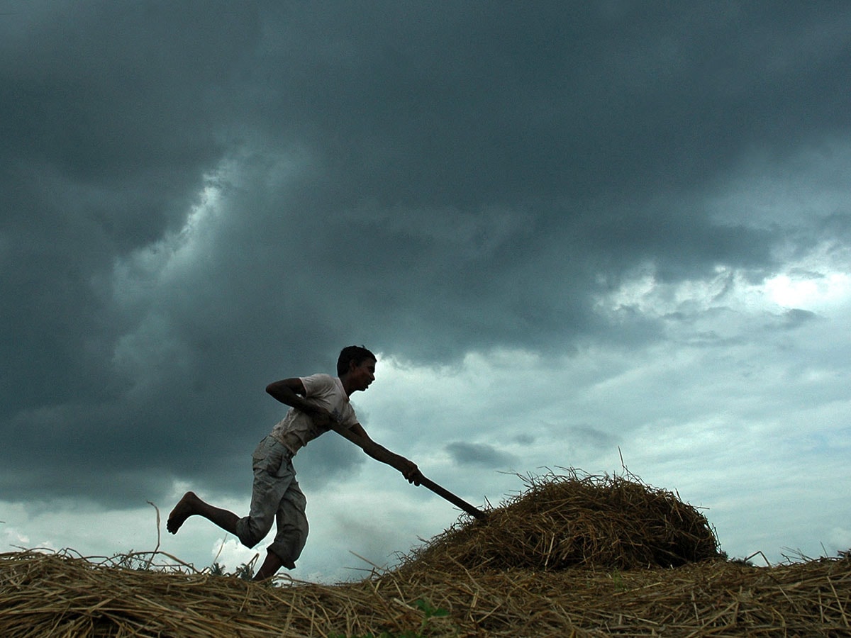 IMD Lowers Rainfall Forecast; El Niño Could Weaken Monsoon Further