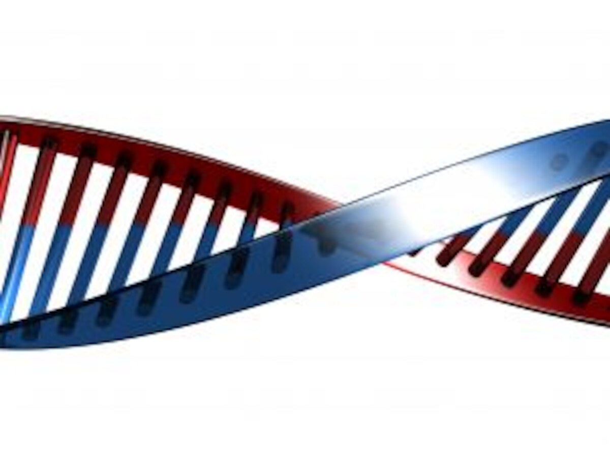 The Innovator's DNA