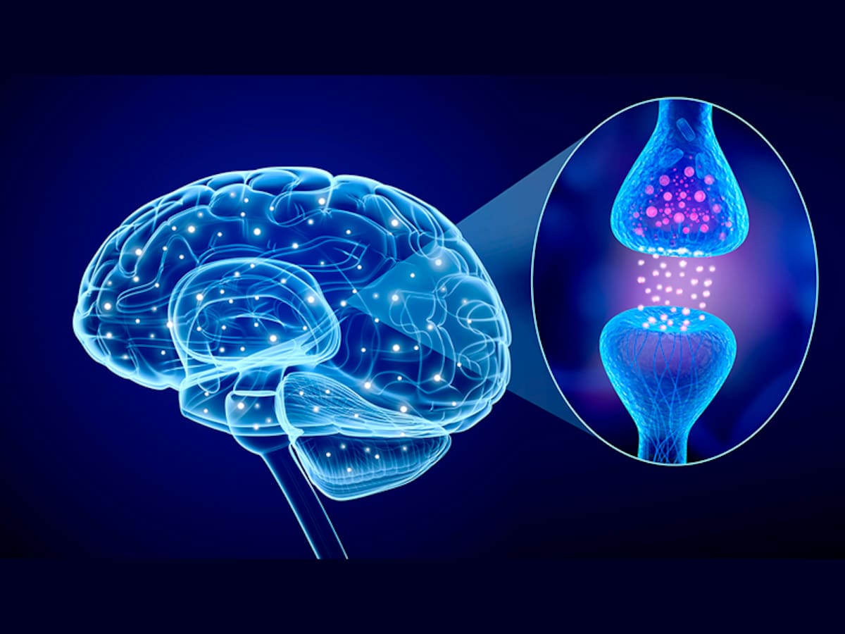 Technology: In the face of neurotechnology advances, Chile passes ...