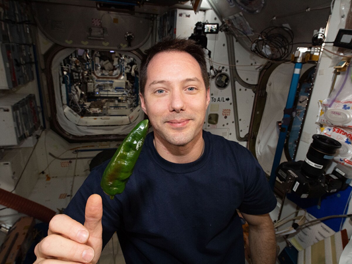 Food: Do you have ideas about feeding astronauts on Mars? NASA wants to ...