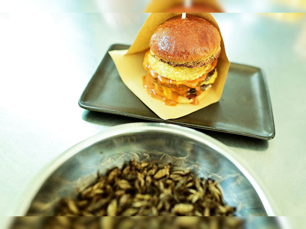 Thai pop-up wins fans with crunch-less cricket burgers