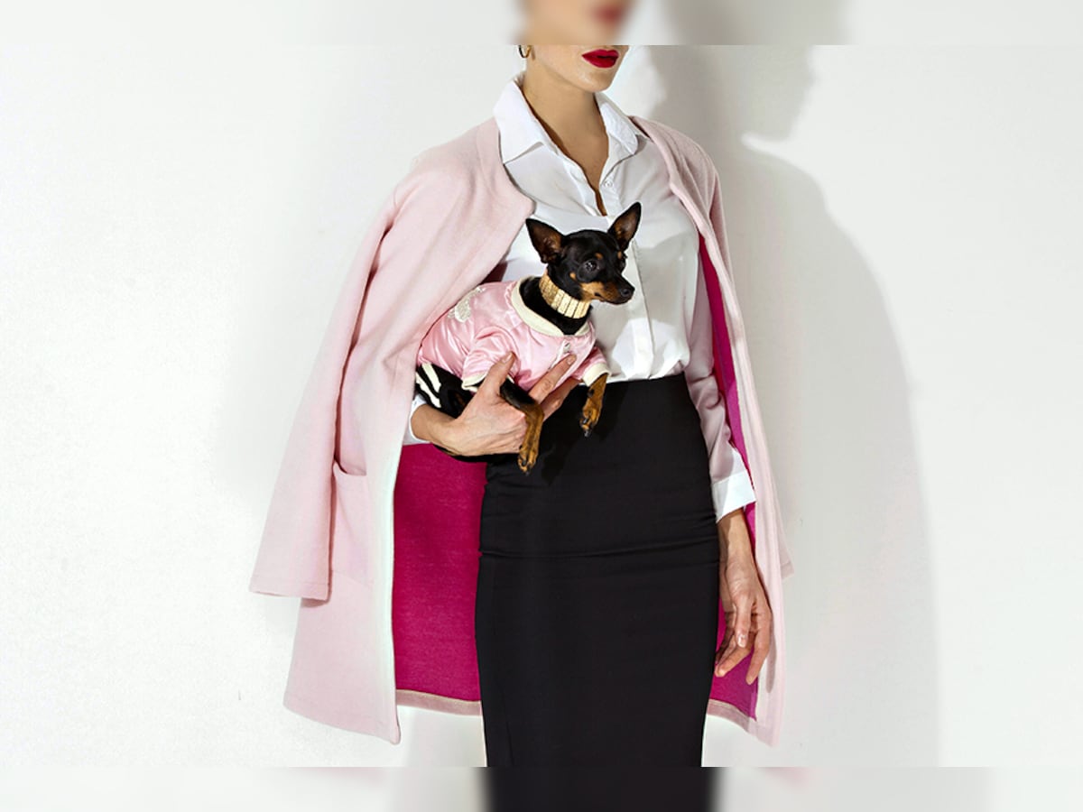 From cardigans and bow ties to designer carriers, luxury petwear is on ...