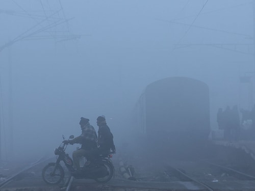 Anushree Fadnavis | World News, Latest and Breaking News, Top ...