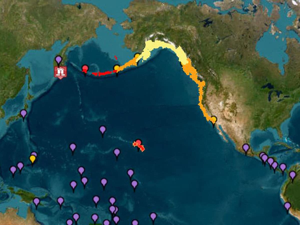 Key facts about tsunamis and the damage they can cause