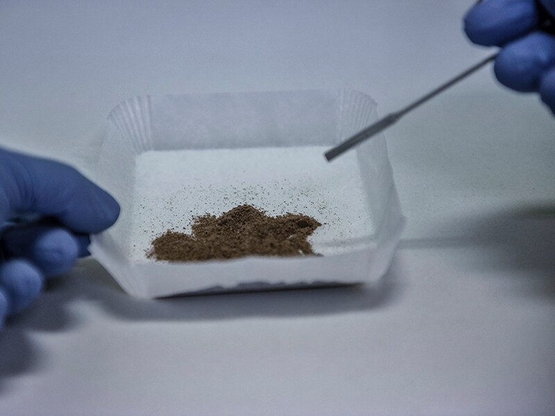 Germany, Drugs, Cannabis: German Startups Lay The Groundwork For A ...