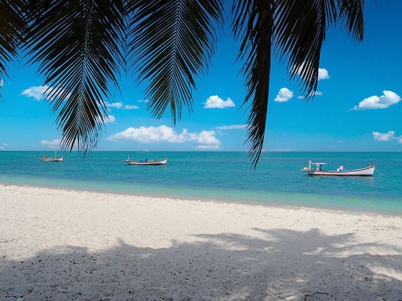 Explained: The India-Maldives Controversy - Forbes India